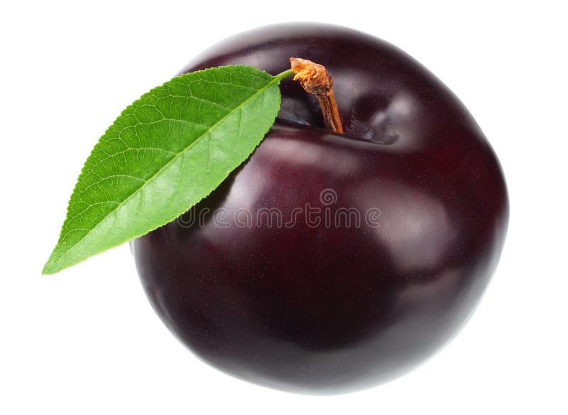 One Plum Fruit With Green Leaf Isolated On White Background Stock Image ...