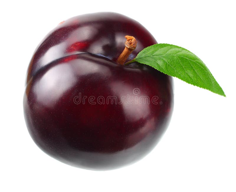 One Plum Fruit Isolated on White Background Stock Image - Image of mock ...