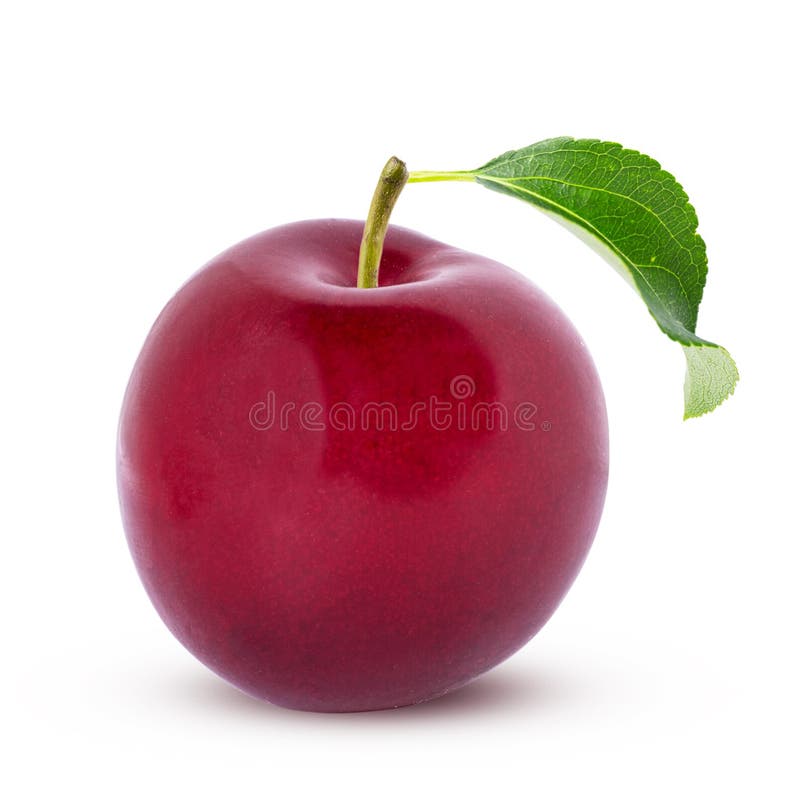 2,594 One Plum Isolated White Background Stock Photos - Free & Royalty ...