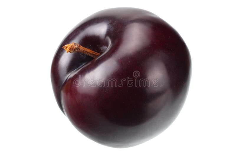 One Plum Fruit Isolated on White Background Stock Image - Image of plum ...