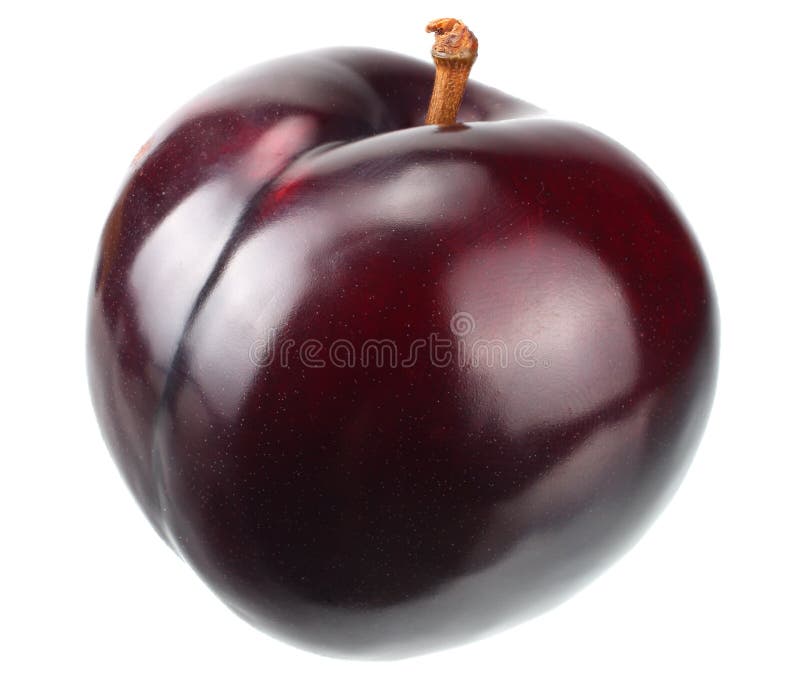 One Plum Fruit Isolated on White Background Stock Image - Image of ...