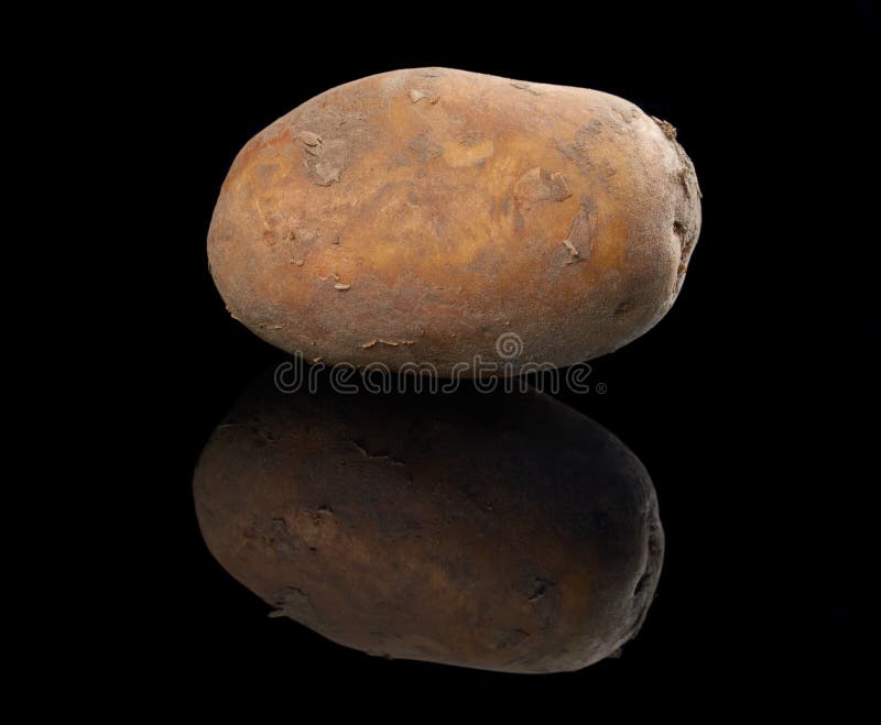 One potato on black stock image. Image of black, harvest - 76055255