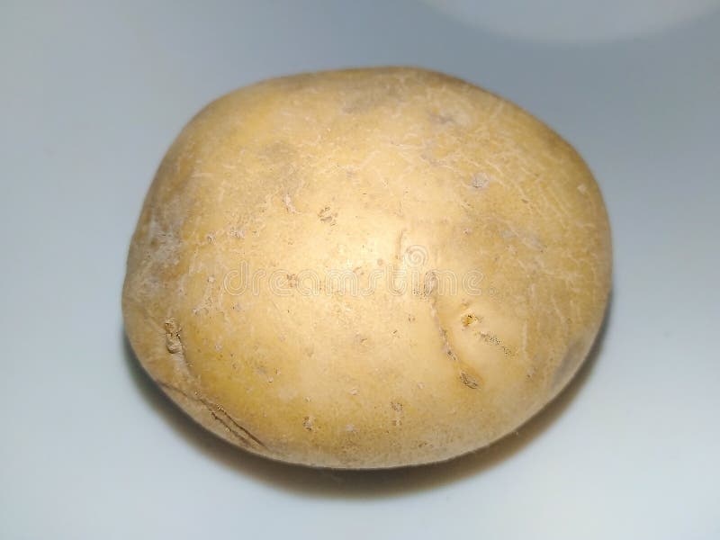 A one potato image stock image. Image of freshness, nature - 183357089