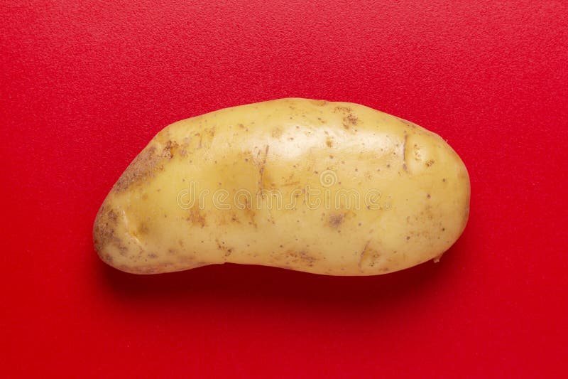 One Potato on a Red Background Stock Image - Image of advertise, ripe ...
