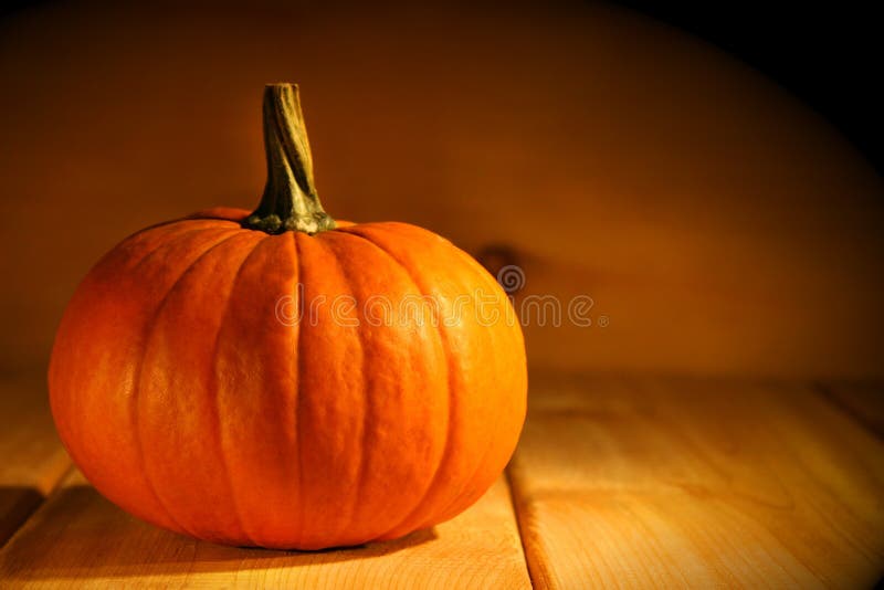 One pumpkin stock image. Image of brilliant, holiday, festive - 3134657