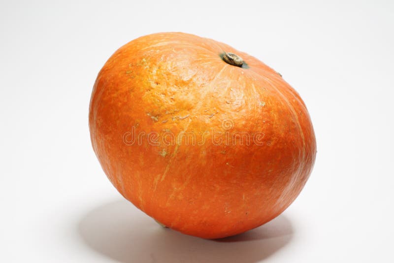 27,639 One Pumpkin Stock Photos - Free & Royalty-Free Stock Photos from ...