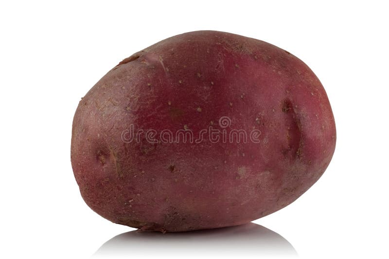 One pure potato stock image. Image of healthy, purple - 99239459