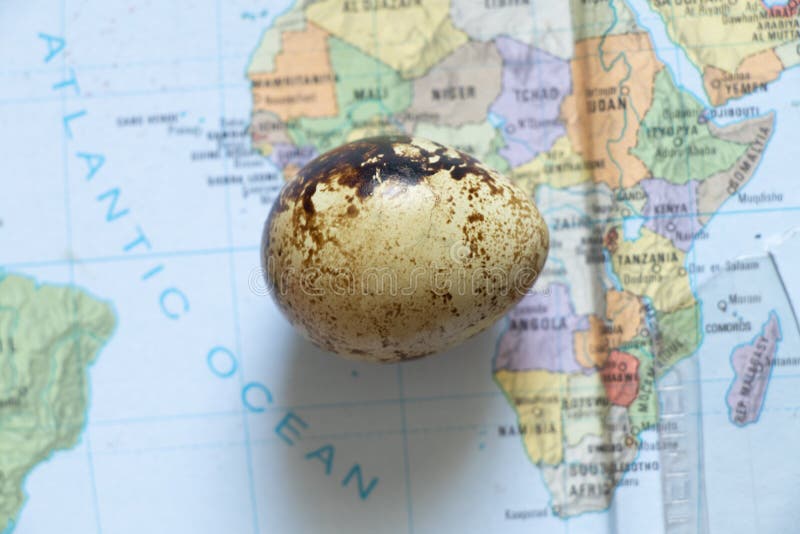 194 Egg World Map Stock Photos - Free & Royalty-Free Stock Photos from ...