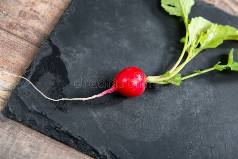 One Radish on a Slate Plate Stock Image - Image of vitamin, fresh ...