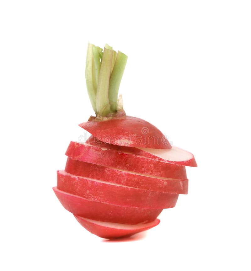 One radish slices. stock photo. Image of healthy, vitamin - 33553504