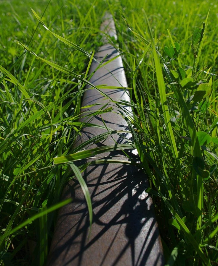 One railroad. stock photo. Image of landscape, vertical - 15913210