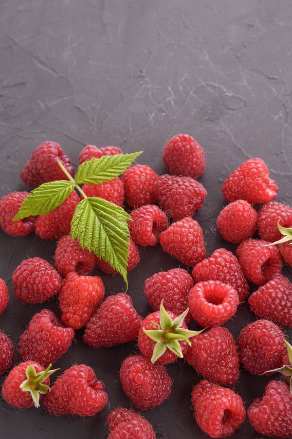 One Raspberry on a Beautiful Dark Concrete Textured Background Stock ...