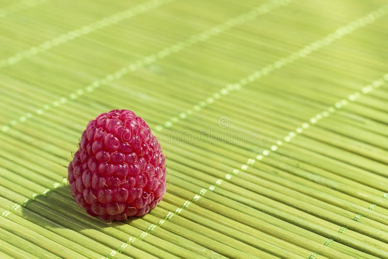 One Raspberry Berry on a Green Background Stock Image - Image of ...