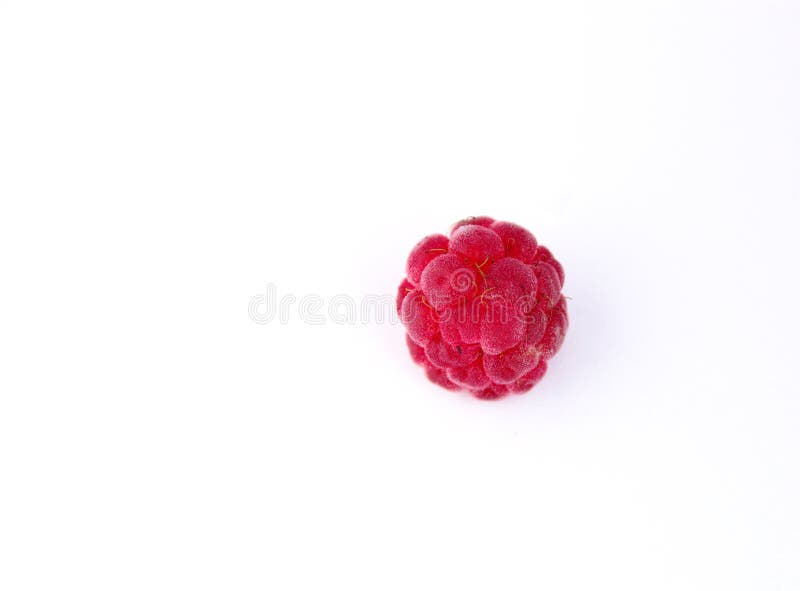 One raspberry stock photo. Image of beauty, vitamin, diet - 76129516