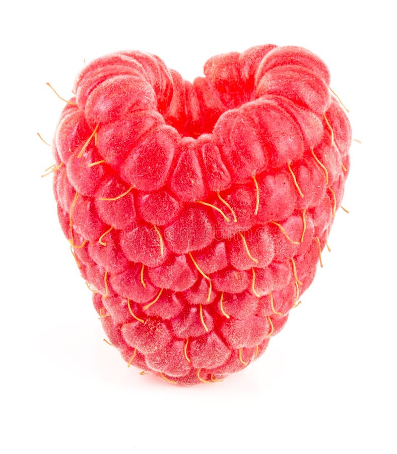 One Raspberry Isolated on White Background Macro Stock Photo - Image of ...