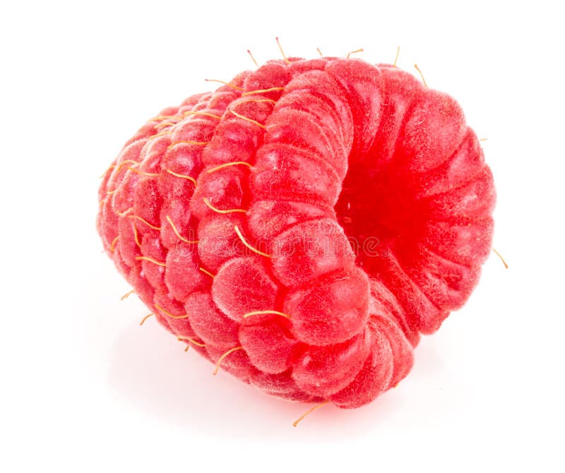 One Raspberry Isolated on White Background Macro Stock Image - Image of ...