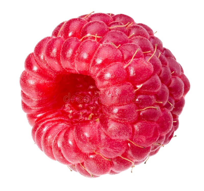 One Raspberry Isolated on White Background. Macro Stock Photo - Image ...