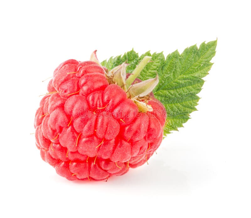 One Raspberry with Leaf Isolated on White Background Macro Stock Image ...