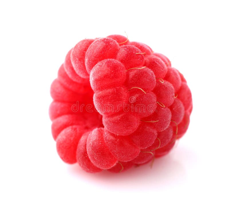 Raspberry stock image. Image of desert, natural, delicious - 10038145