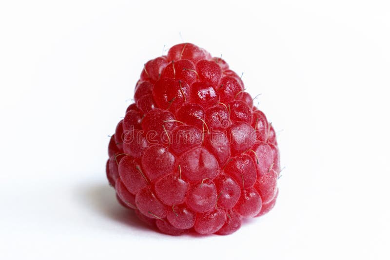 One raspberry stock photo. Image of ingredient, meal - 45483130