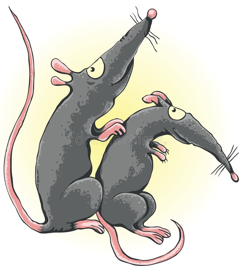 One Rat Scratches Another Rat S Back Stock Vector - Illustration of ...