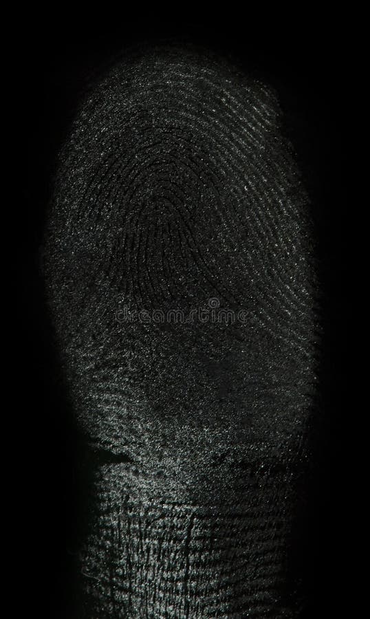 Real fingerprint stock image. Image of high, insignia - 26128411