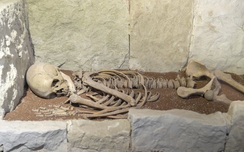 One Real Man Skeleton Lying on Ground Stock Photo - Image of buried ...