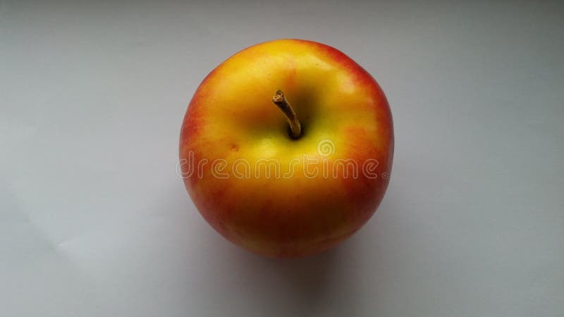 ONE RED APPLE. stock photo. Image of healthy, nature - 146378870