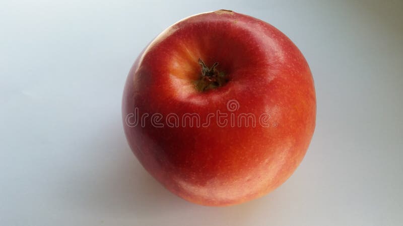 One red apple. stock image. Image of apple, freshness - 146379509
