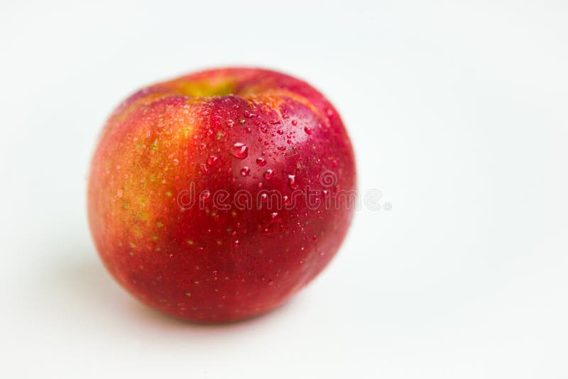 One Red Apple Isolated on the White Background Stock Photo - Image of ...