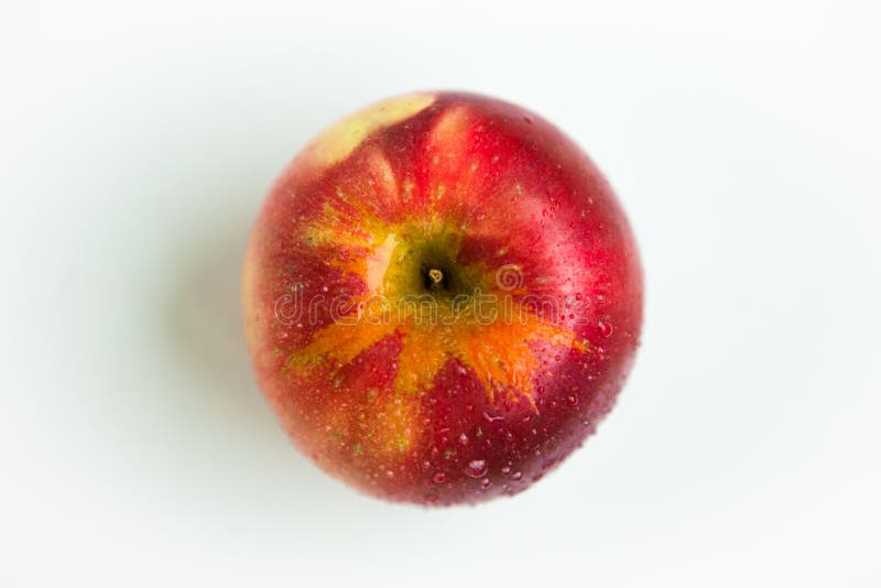 One Red Apple Isolated on the White Background Stock Image - Image of ...