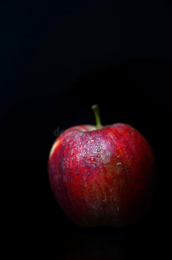 One red apple on low light stock image. Image of black - 143812935