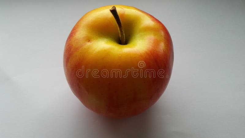 ONE RED APPLE. stock image. Image of organic, healthy - 146379041