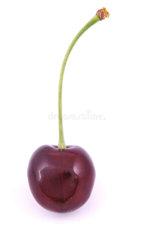 One red cherrie stock image. Image of object, cherrie - 23600559