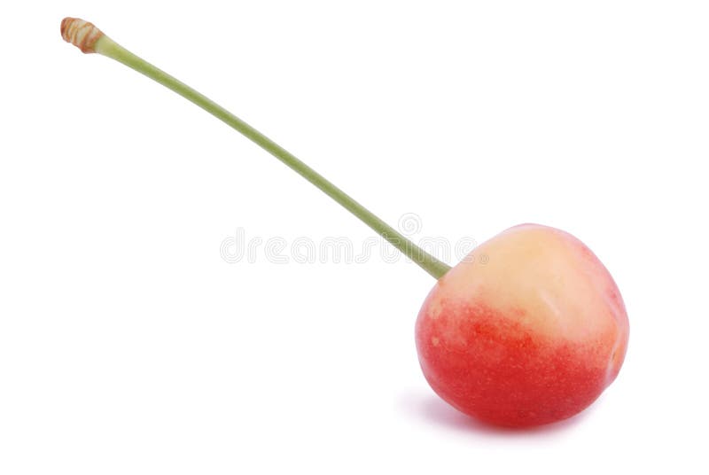 One red cherrie stock photo. Image of fruits, green, round - 84832834