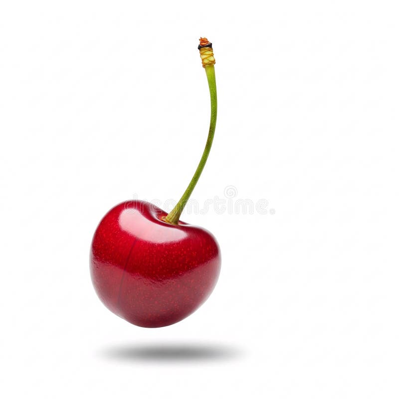 One Red Cherry with Green Stem. Isolated on White Stock Photo - Image ...