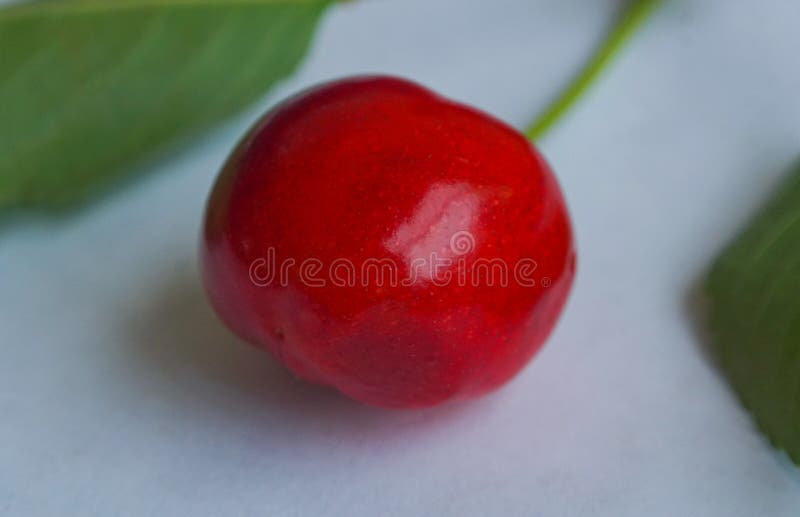 One red cherry stock image. Image of food, single, tasty - 258332637