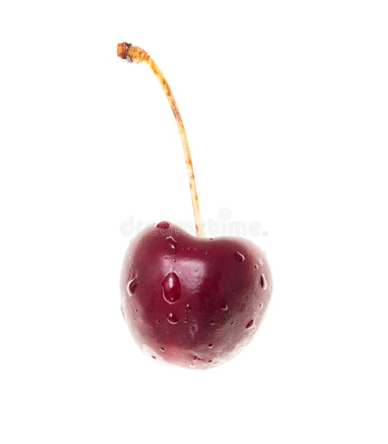 One Cherry on a White Background Stock Photo - Image of dessert, food ...
