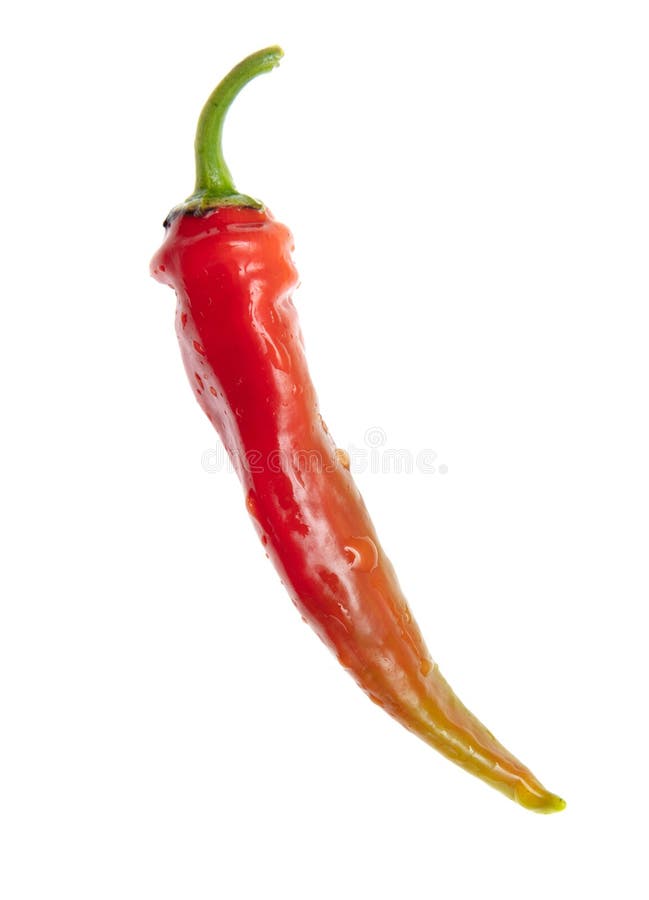 One Red Chili Pepper Isolated on a White Background. Stock Image ...