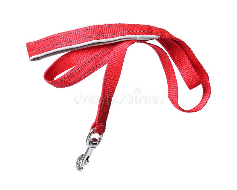 One Red Dog Leash Isolated on White Stock Photo - Image of animal ...