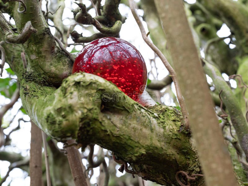 Squiggly Branches Stock Photos - Free & Royalty-Free Stock Photos from ...