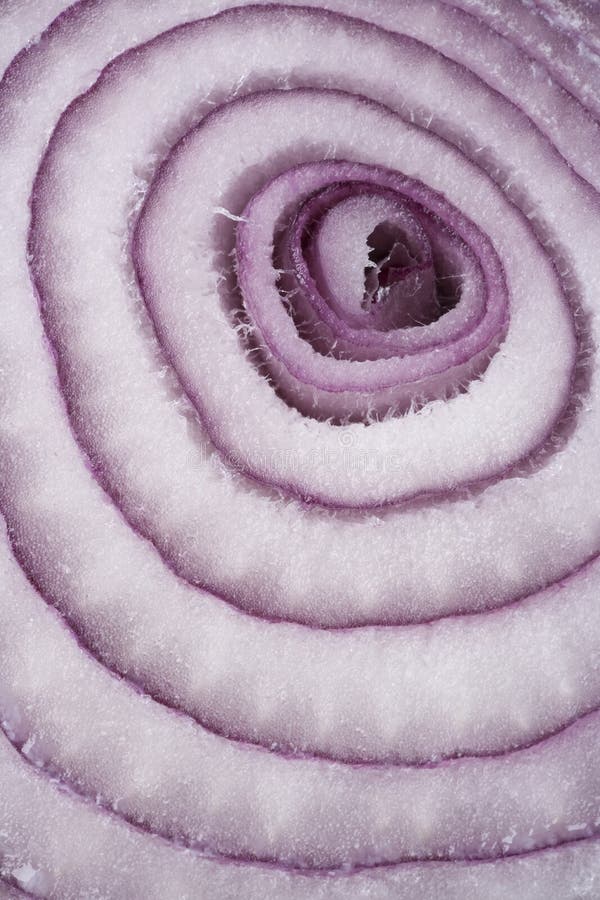 One Red Onion,half and Rings on White Background Stock Image - Image of ...