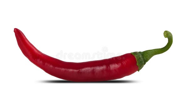 One red pepper stock photo. Image of food, ingredient - 15648554