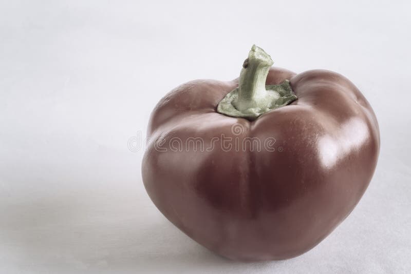 One Red Pepper on a Light Background Stock Photo - Image of farmer ...