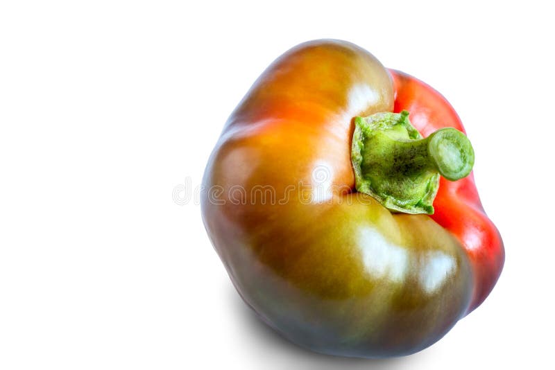 One Red Pepper on White Background Stock Photo - Image of color, bell ...
