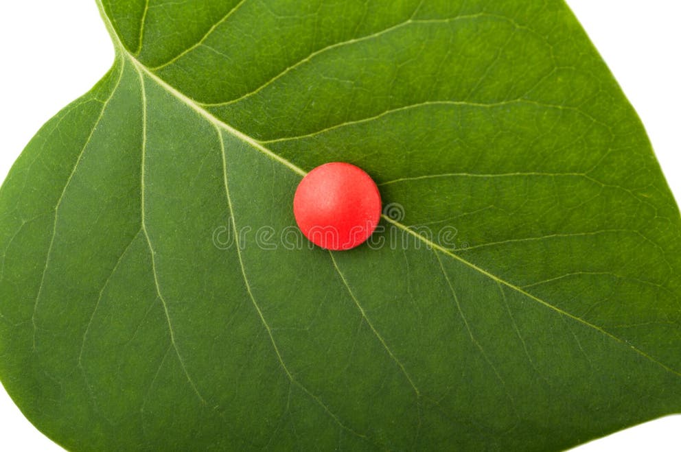 One red pill on green leaf stock photo. Image of medicine - 48734294
