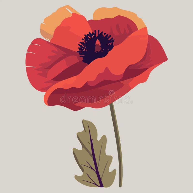 One red poppy flower stock vector. Illustration of petal - 274042956