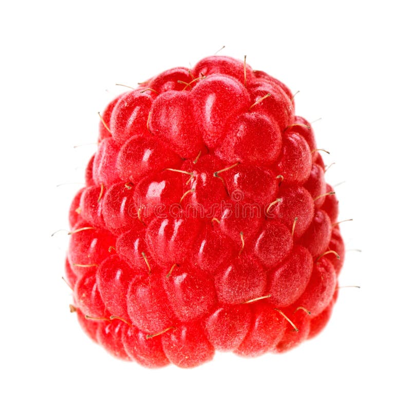 Red raspberry stock image. Image of white, raspberry, raspberries - 1860971