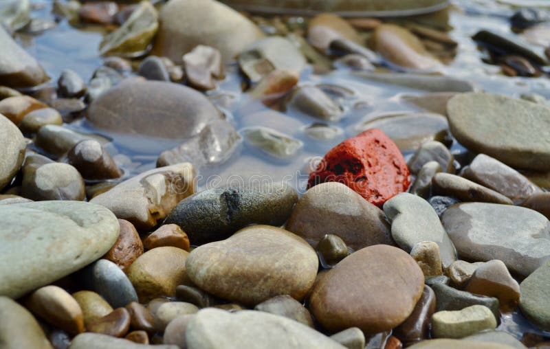 One Red River Stone among Big Amount of Grey River Stones Stock Photo ...
