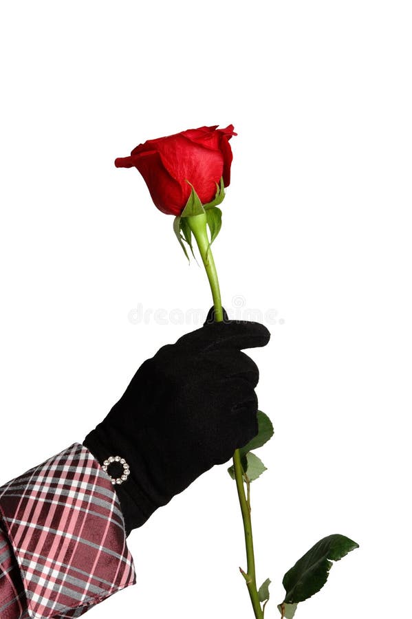 One red rose in hand stock image. Image of hold, floral - 4088915